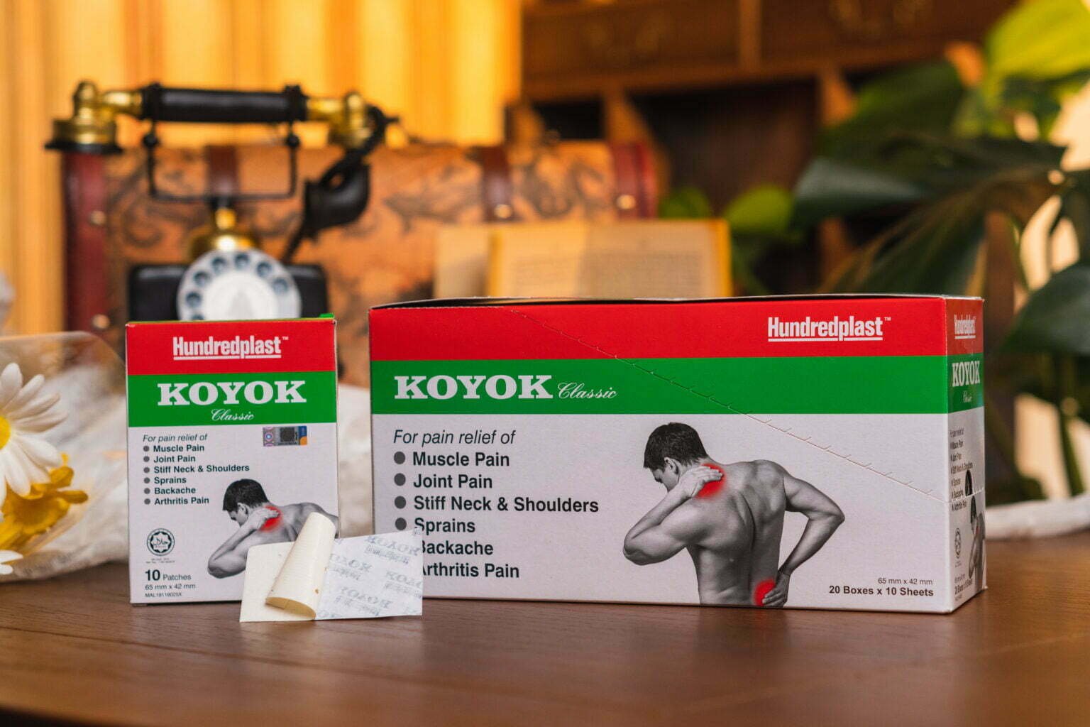 Hundredplast Koyok Classic - TH Group